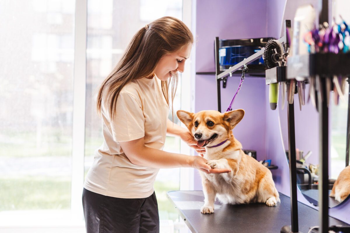 Virtual Assistant for Pet Industry: Pet Groomers, Pet Sitters, Etc.